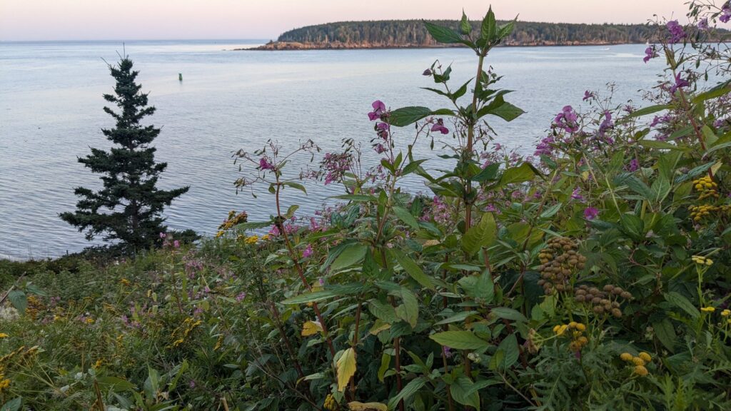 A chance encounter – Sanford Ross Bender