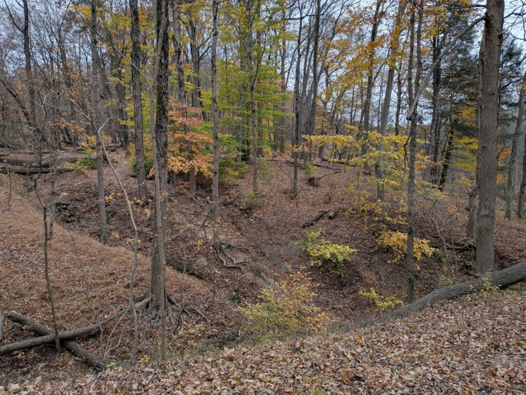 Twisted path ridge – Sanford Ross Bender